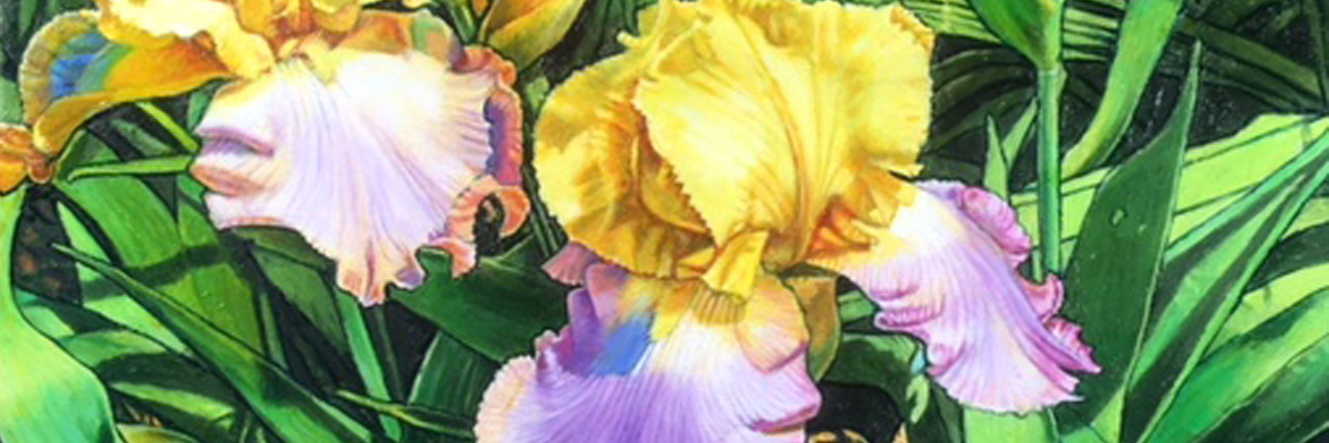 Eleanor Day: Philadelphia Artist – Philadelphia Artist: Paintings ...